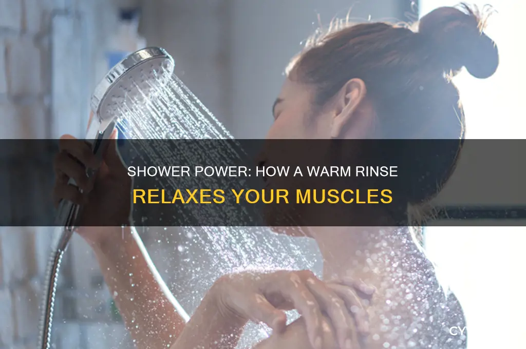 Shower Power: How A Warm Rinse Relaxes Your Muscles | CyVigor