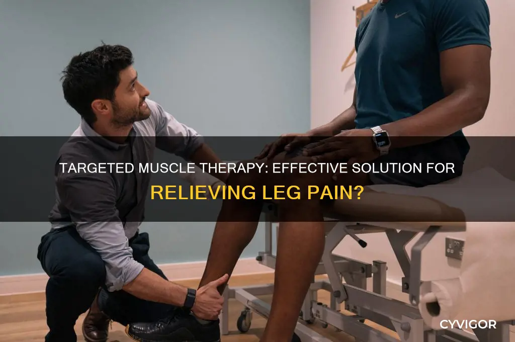 Targeted Muscle Therapy: Effective Solution For Relieving Leg Pain ...