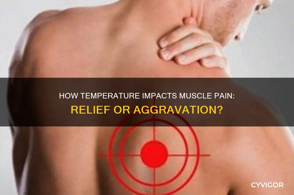 How Temperature Impacts Muscle Pain: Relief Or Aggravation? | CyVigor