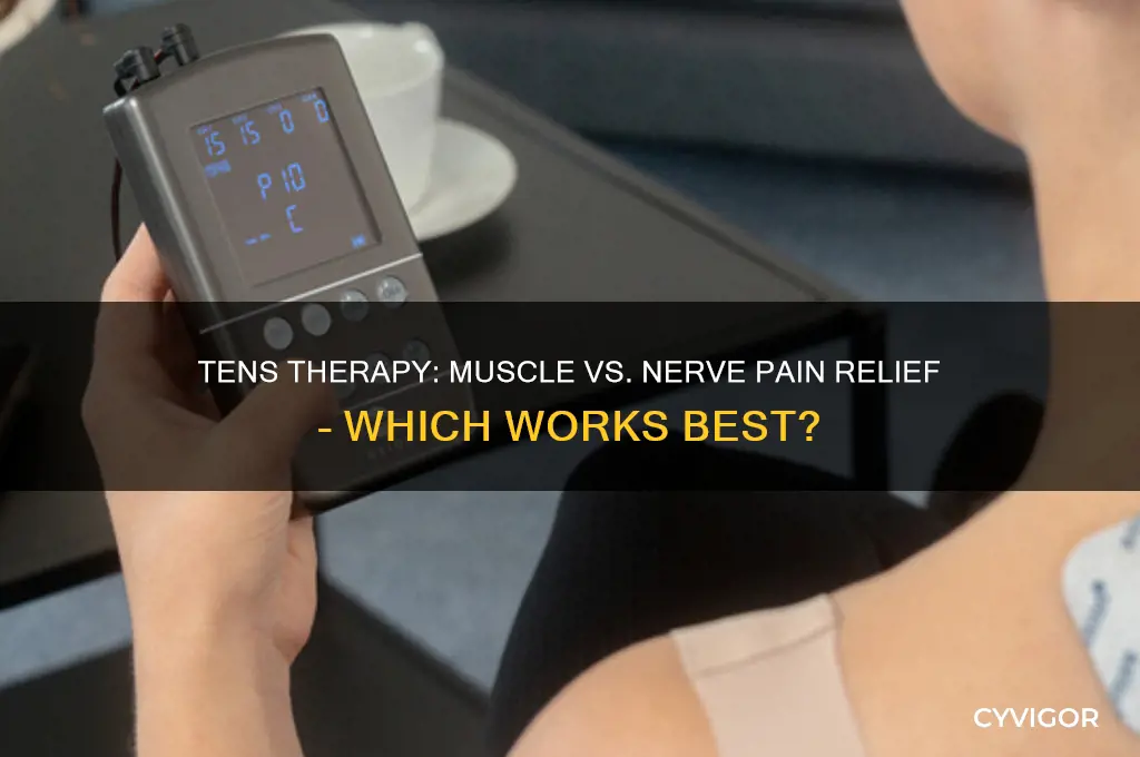Tens Therapy: Muscle Vs. Nerve Pain Relief - Which Works Best? | CyVigor