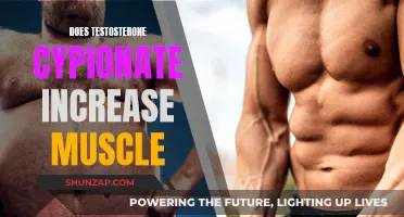Where Do Muscles End And Tendons Begin? | CyVigor