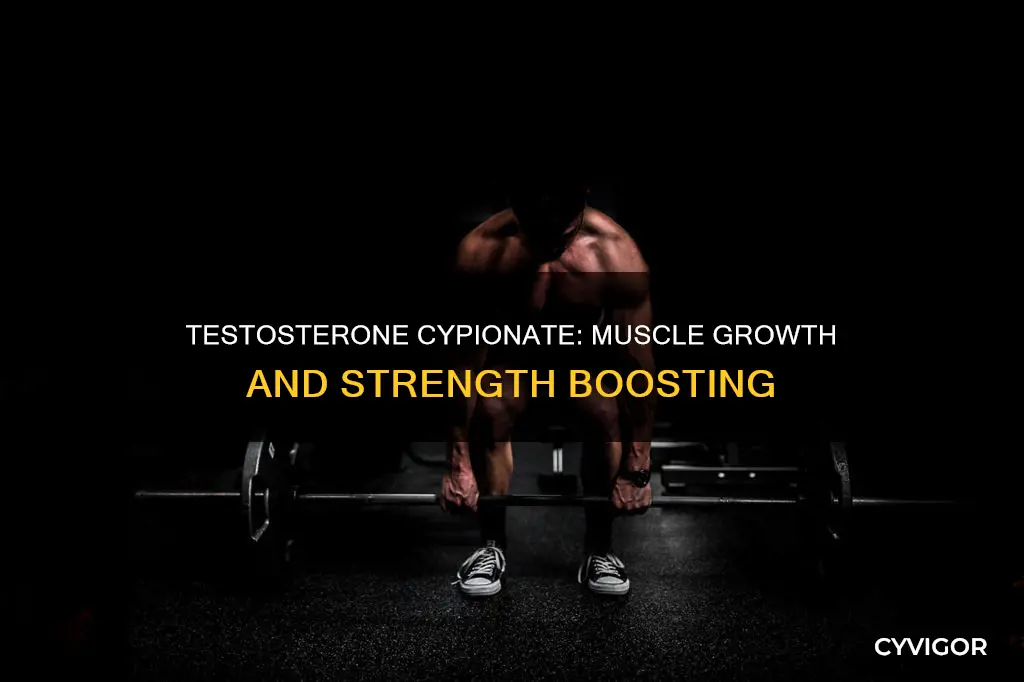 Testosterone Cypionate: Muscle Growth And Strength Boosting | CyVigor