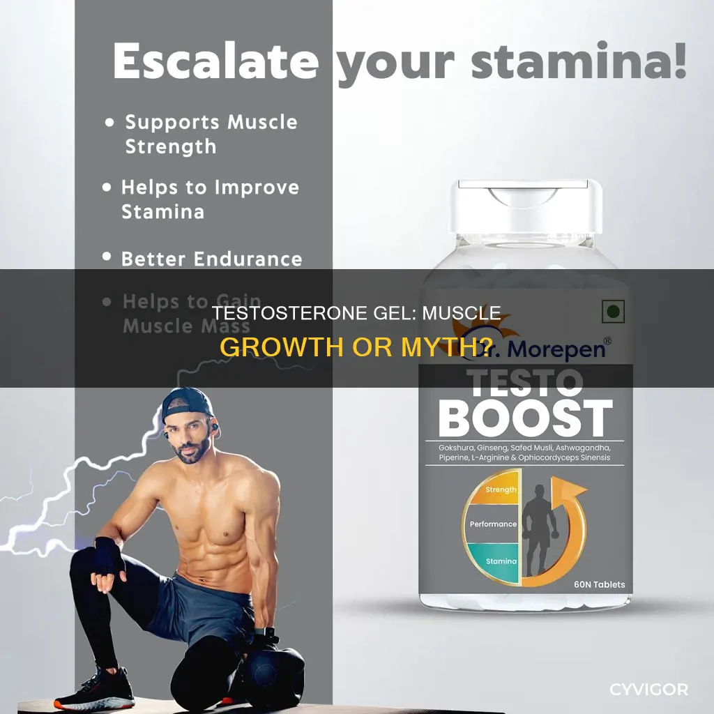 Testosterone Gel: Muscle Growth Or Myth? | CyVigor