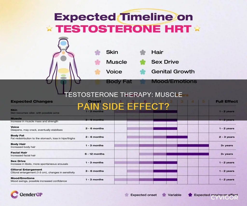 Testosterone Therapy: Muscle Pain Side Effect? | CyVigor