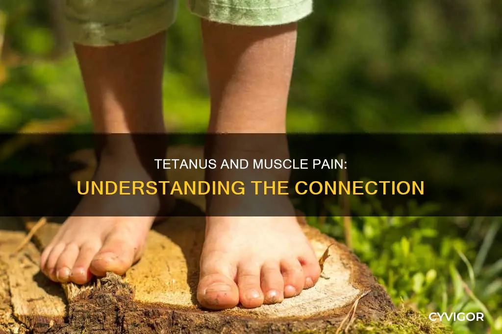 Tetanus And Muscle Pain: Understanding The Connection | CyVigor