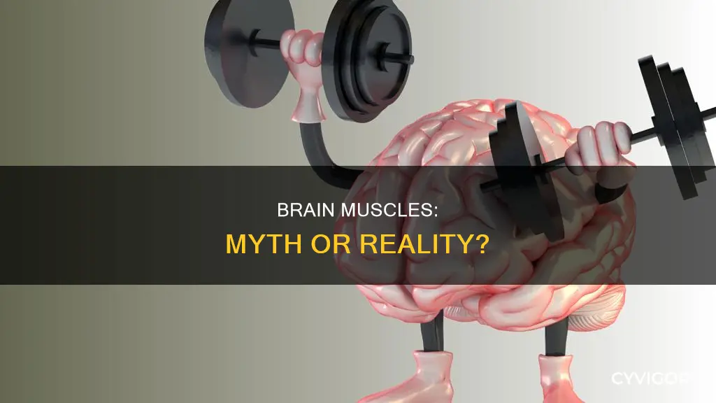 Brain Muscles: Myth Or Reality? | CyVigor