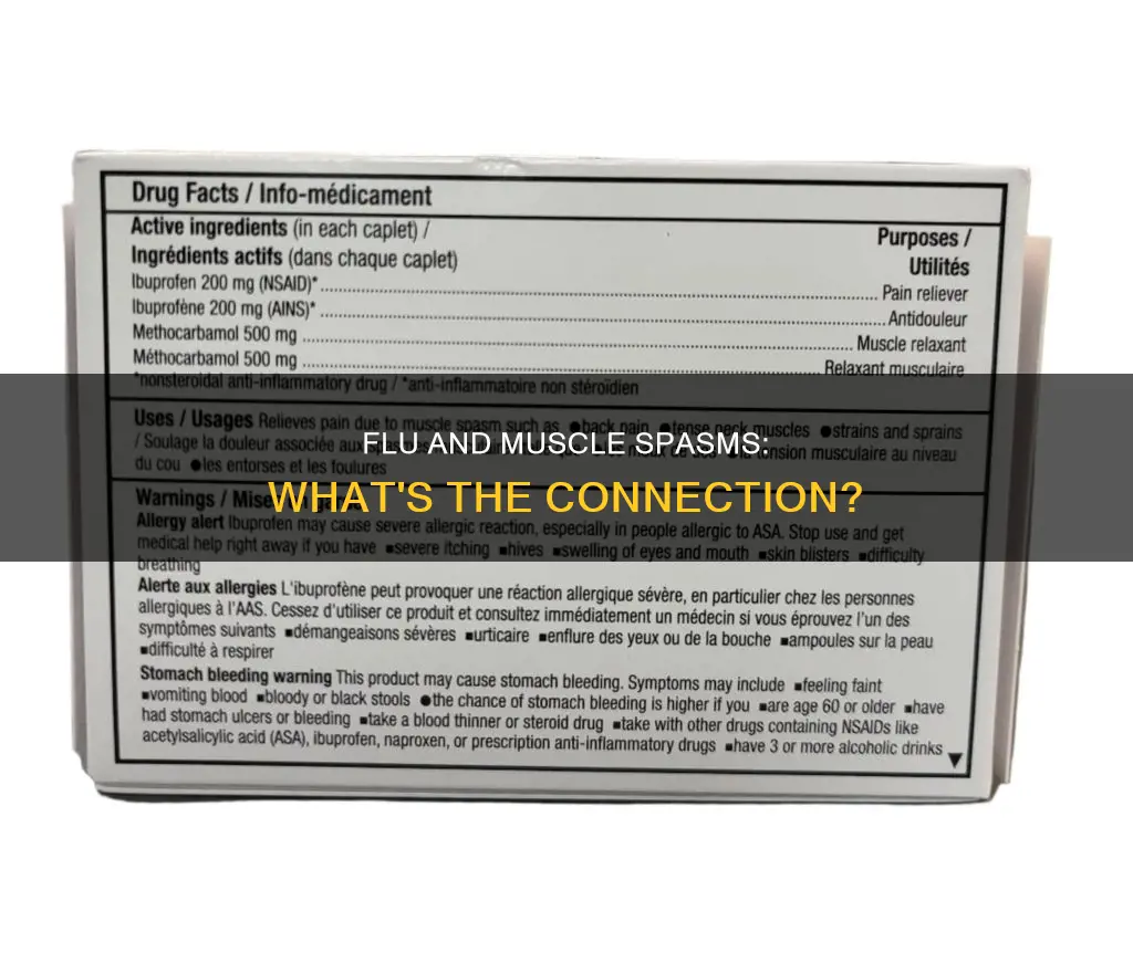 Flu And Muscle Spasms: What's The Connection? | CyVigor