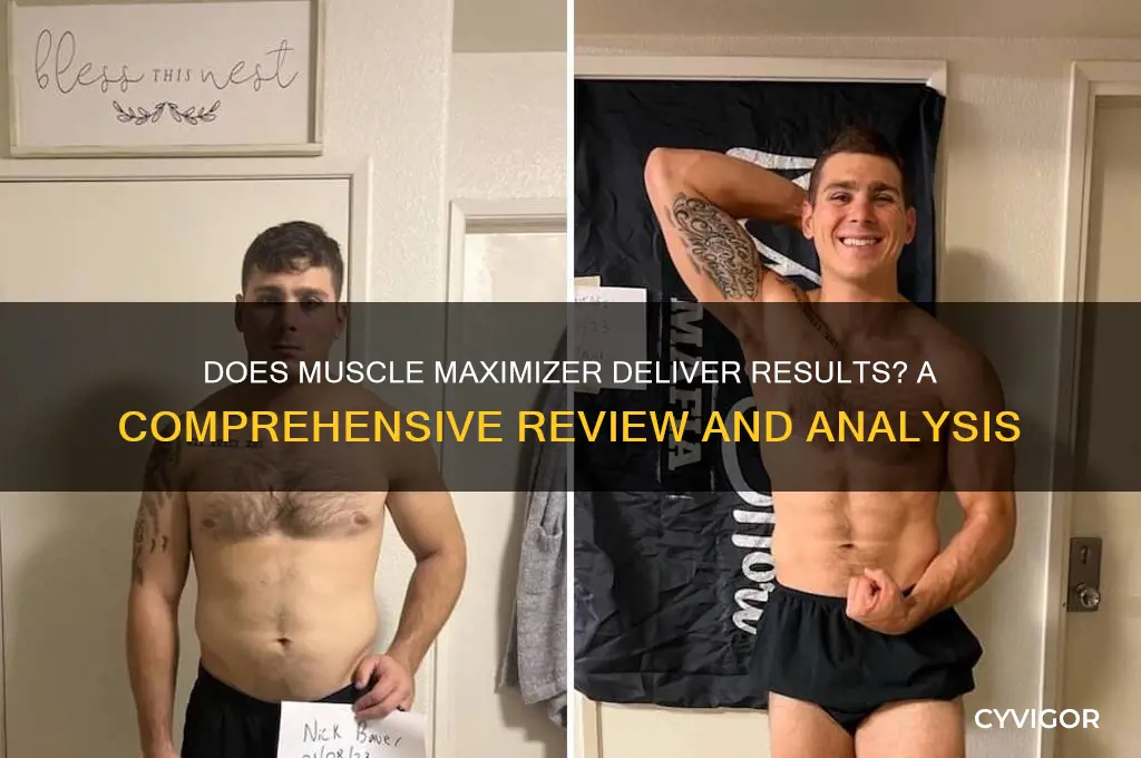 Does Muscle Maximizer Deliver Results? A Comprehensive Review And ...
