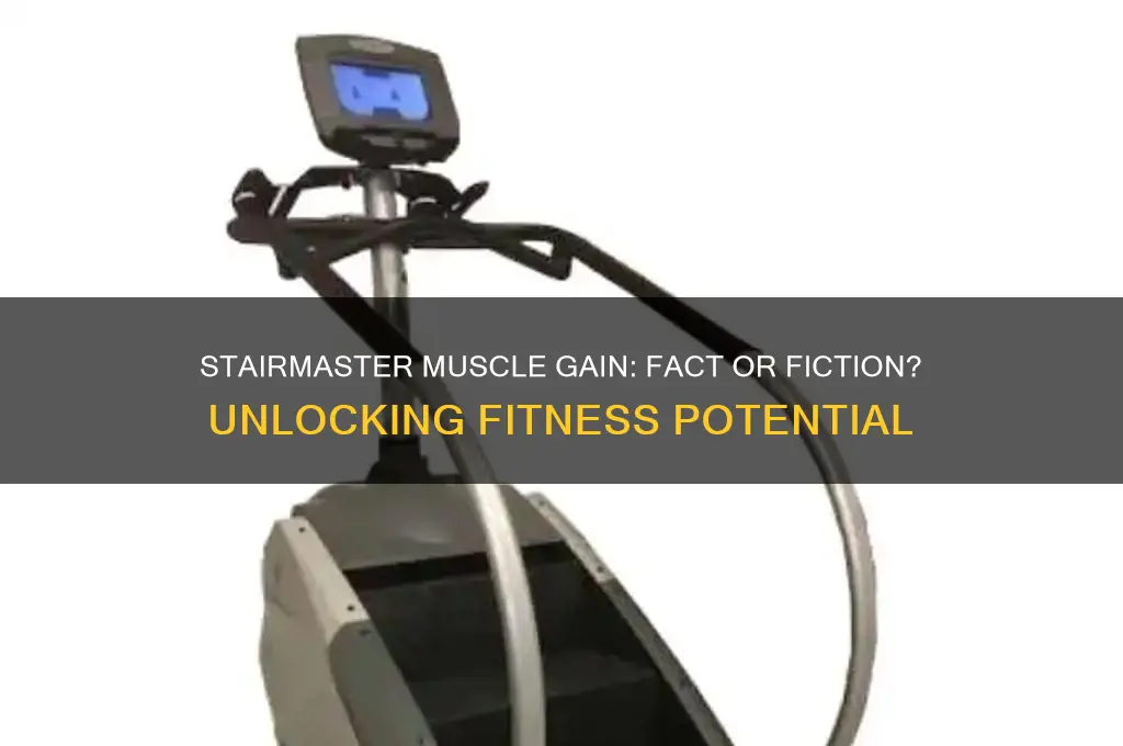 Stairmaster Muscle Gain: Fact Or Fiction? Unlocking Fitness Potential ...