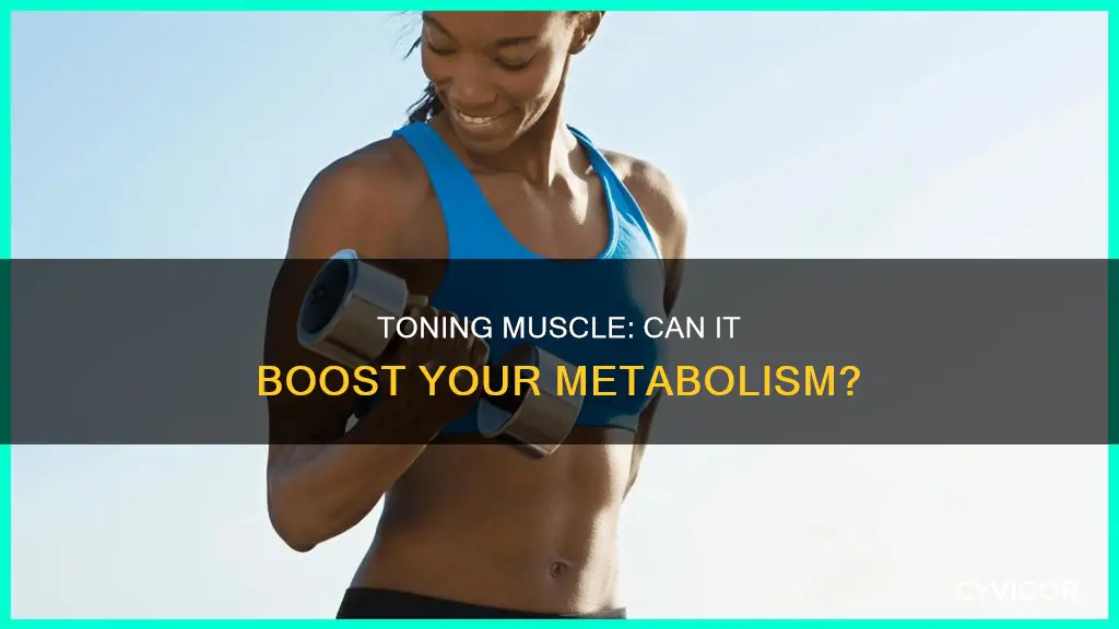 Toning Muscle: Can It Boost Your Metabolism? | CyVigor