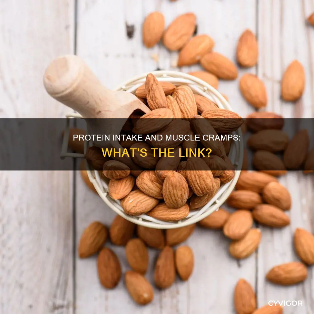 Protein Intake And Muscle Cramps: What's The Link? | CyVigor
