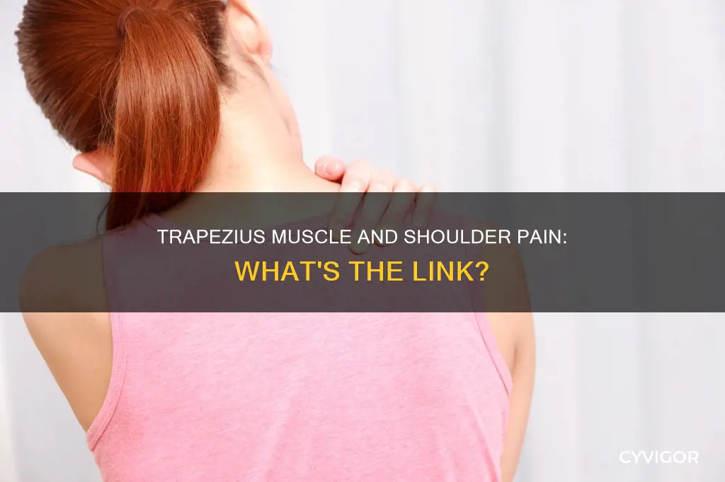 Trapezius Muscle And Shoulder Pain: What's The Link? | CyVigor