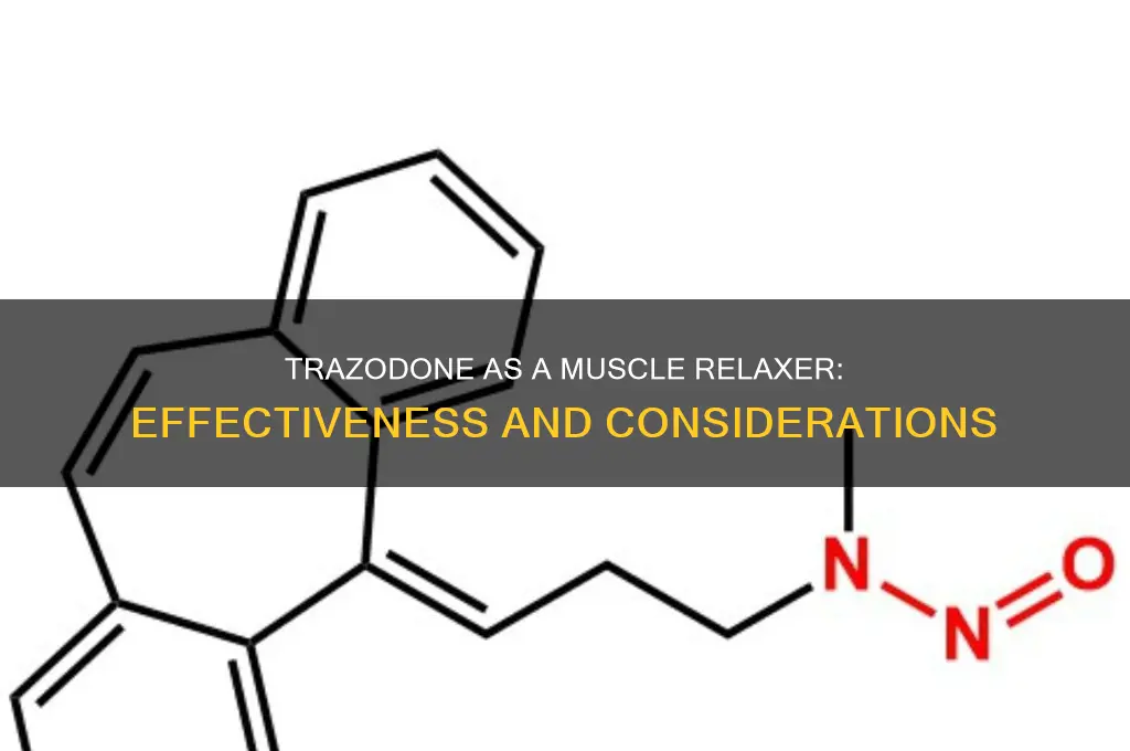 Trazodone As A Muscle Relaxer: Effectiveness And Considerations | CyVigor