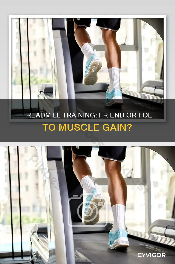 Treadmill Training: Friend Or Foe To Muscle Gain? | CyVigor