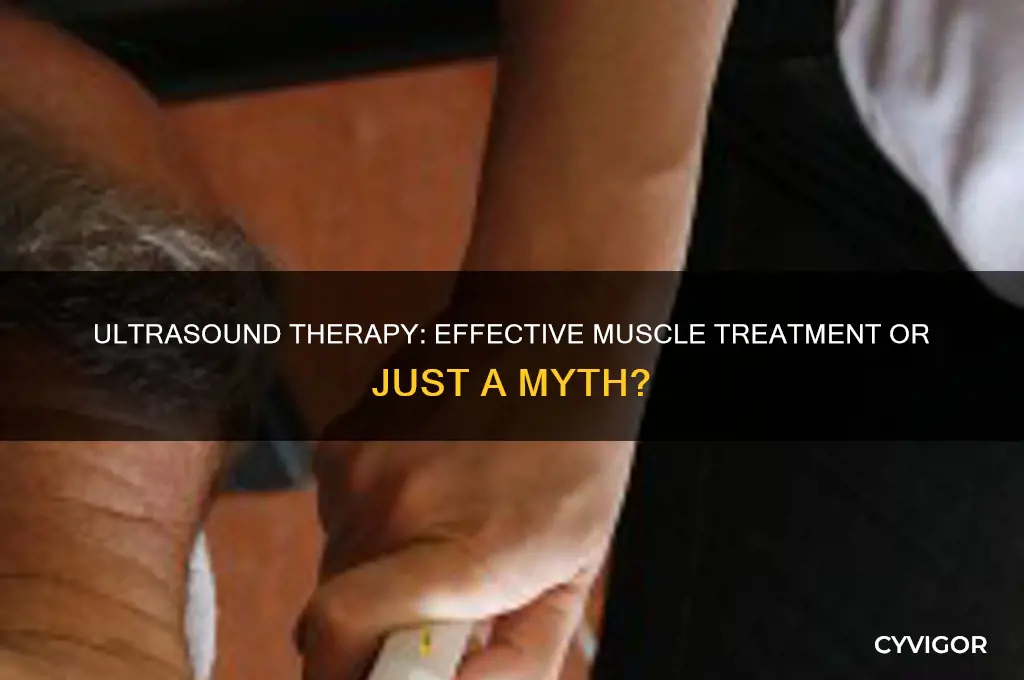 Ultrasound Therapy: Effective Muscle Treatment Or Just A Myth? | CyVigor