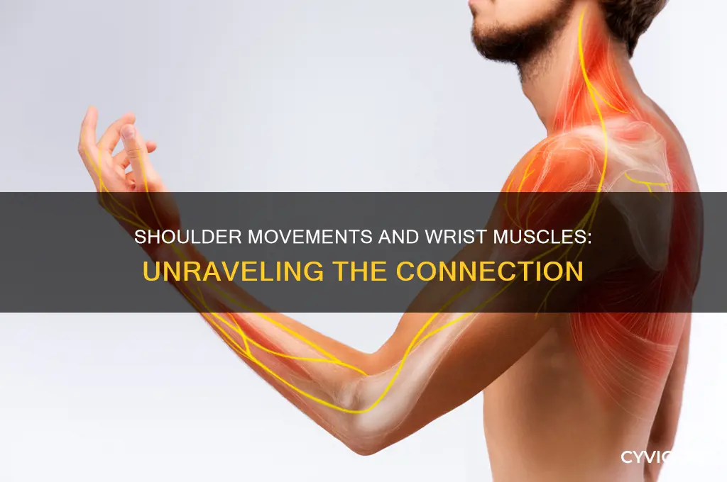 Shoulder Movements And Wrist Muscles: Unraveling The Connection | CyVigor