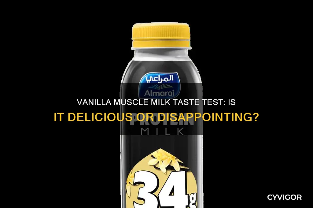 Vanilla Muscle Milk Taste Test: Is It Delicious Or Disappointing? | CyVigor