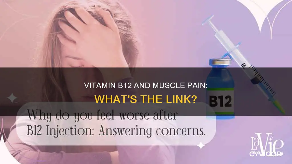 Vitamin B12 And Muscle Pain: What's The Link? | CyVigor