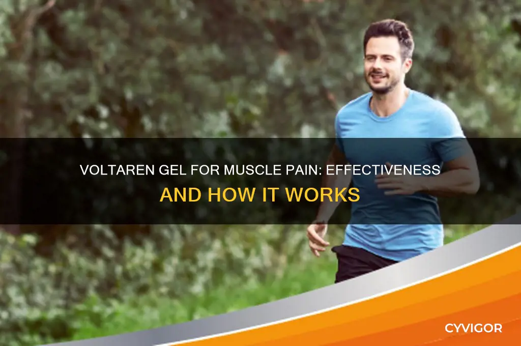 Voltaren Gel For Muscle Pain: Effectiveness And How It Works | CyVigor