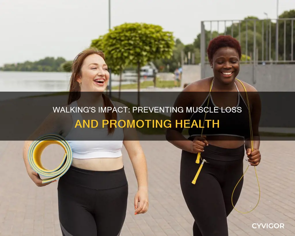 Walking's Impact: Preventing Muscle Loss And Promoting Health | CyVigor