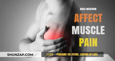 Swollen Lymph Nodes And Muscle Pain: Understanding The Connection | CyVigor