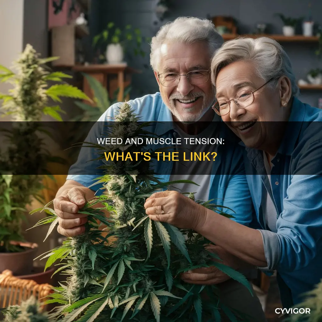 Weed And Muscle Tension: What's The Link? | CyVigor