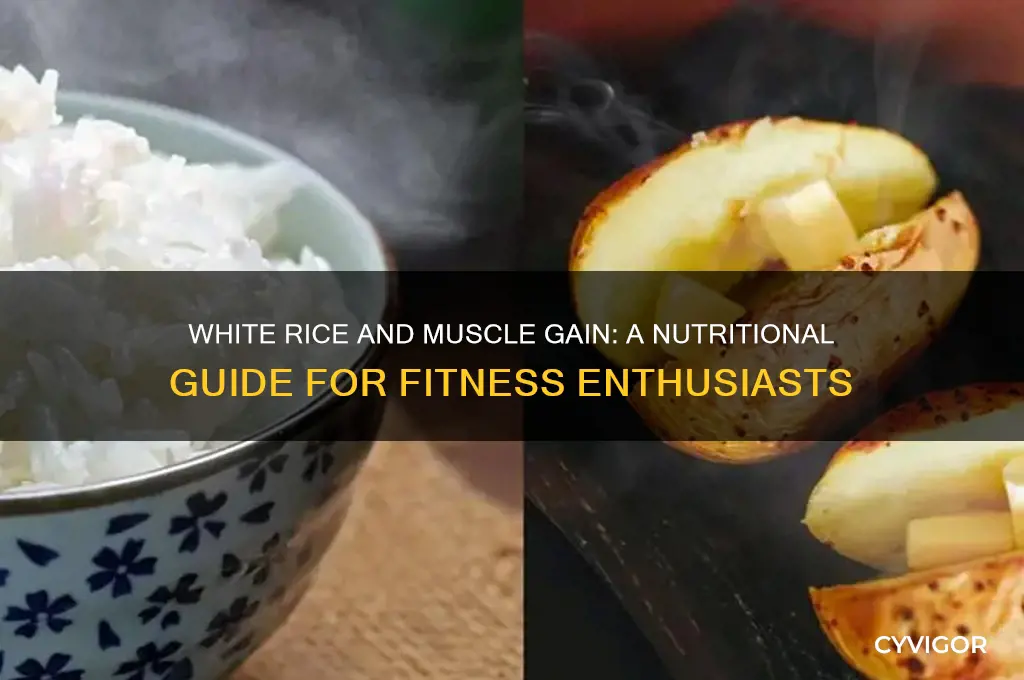 White Rice And Muscle Gain: A Nutritional Guide For Fitness Enthusiasts ...
