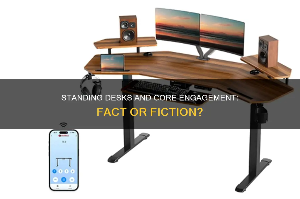 Standing Desks And Core Engagement: Fact Or Fiction? | CyVigor