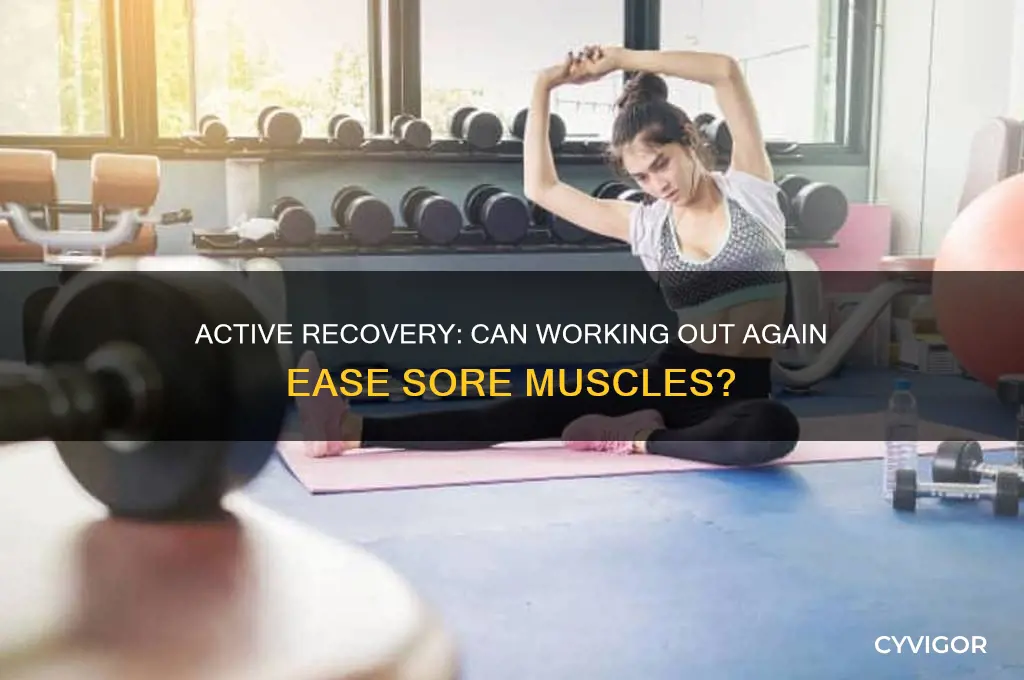 Active Recovery: Can Working Out Again Ease Sore Muscles? | CyVigor