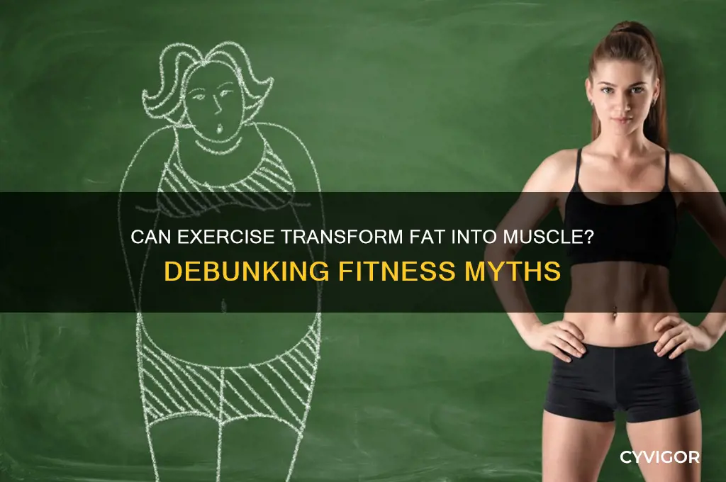 Can Exercise Transform Fat Into Muscle? Debunking Fitness Myths | CyVigor