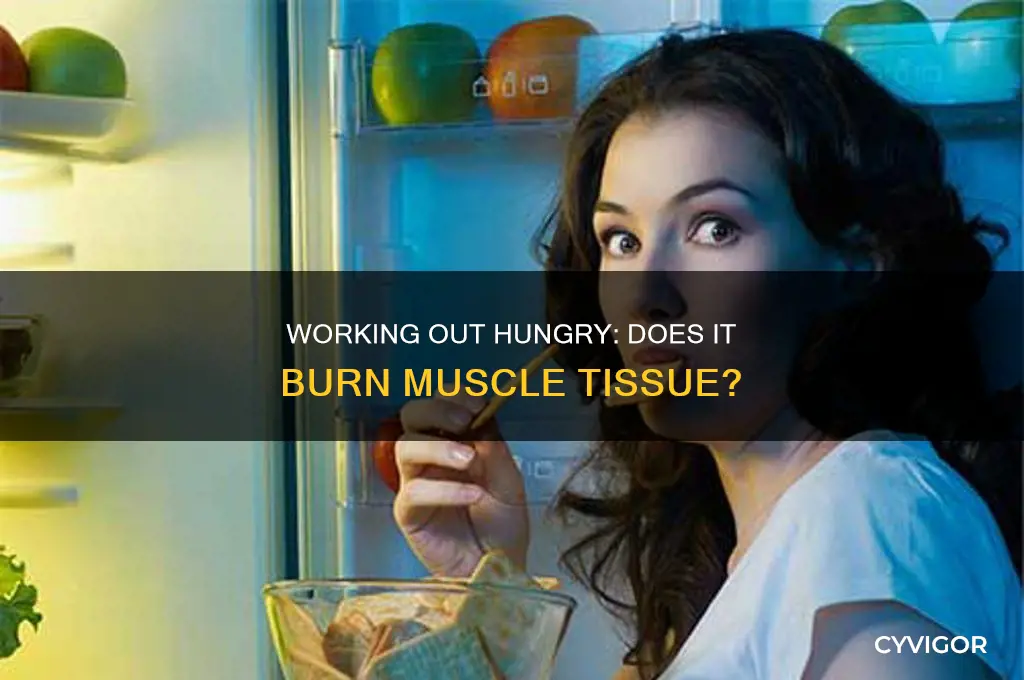 Working Out Hungry: Does It Burn Muscle Tissue? | CyVigor