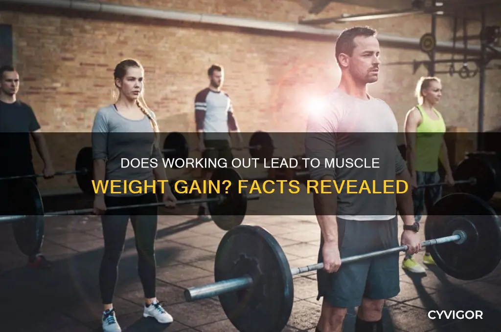 Does Working Out Lead To Muscle Weight Gain? Facts Revealed | CyVigor