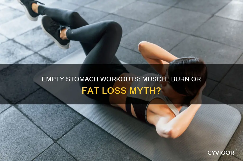 Empty Stomach Workouts: Muscle Burn Or Fat Loss Myth? | CyVigor