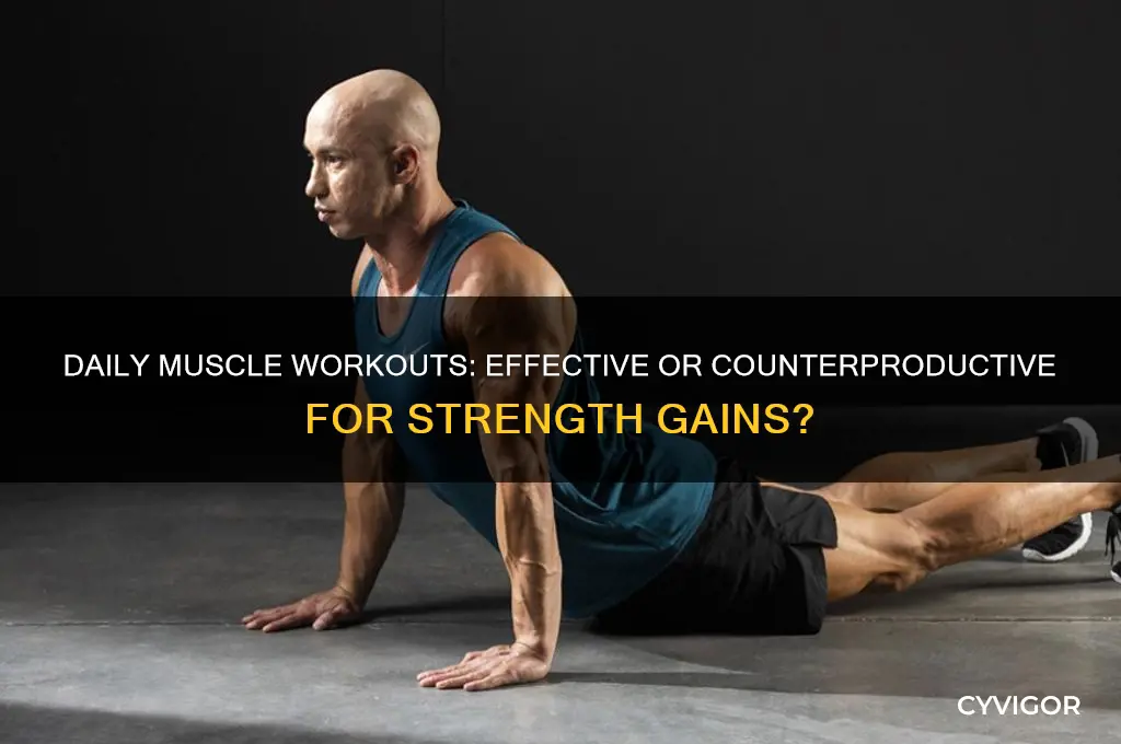 Daily Muscle Workouts: Effective Or Counterproductive For Strength ...