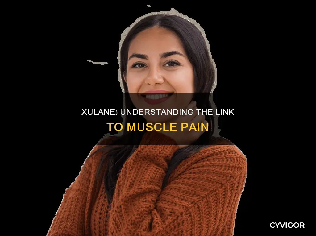 Xulane: Understanding The Link To Muscle Pain | CyVigor