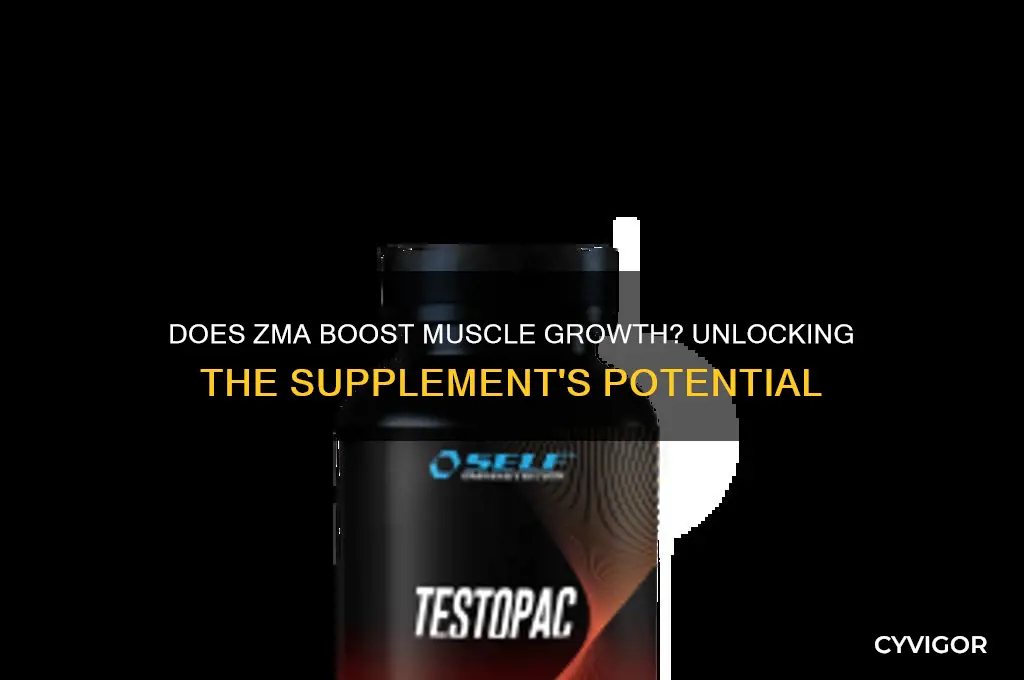 Does Zma Boost Muscle Growth? Unlocking The Supplement's Potential ...