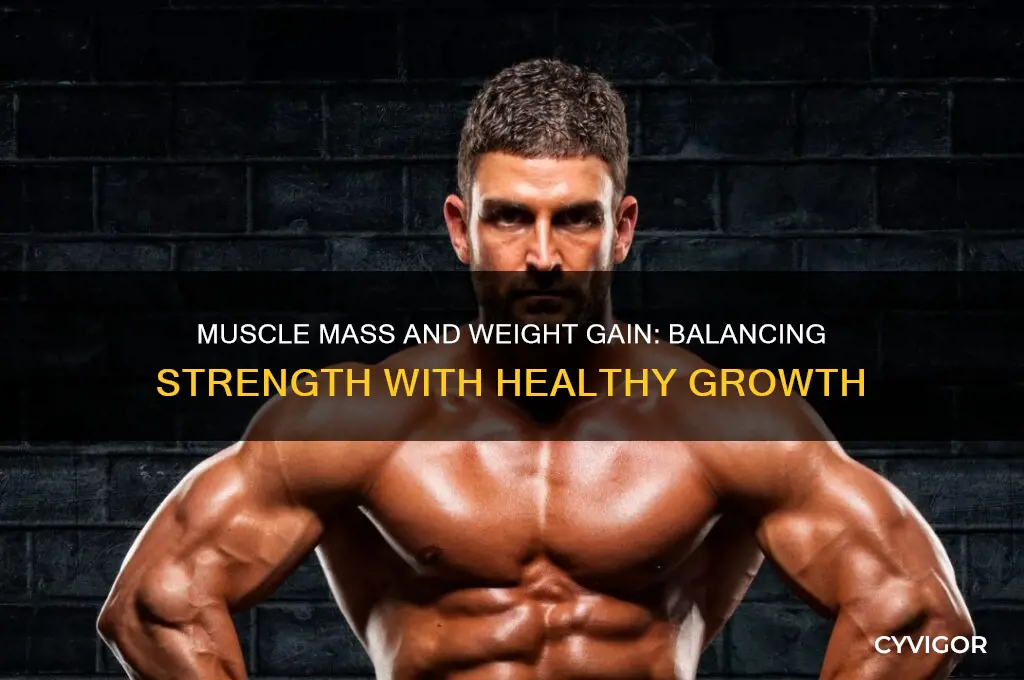 Muscle Mass And Weight Gain: Balancing Strength With Healthy Growth ...