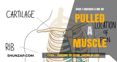Pulled Intercostal Muscle: Symptoms, Causes, And Recovery Tips ...