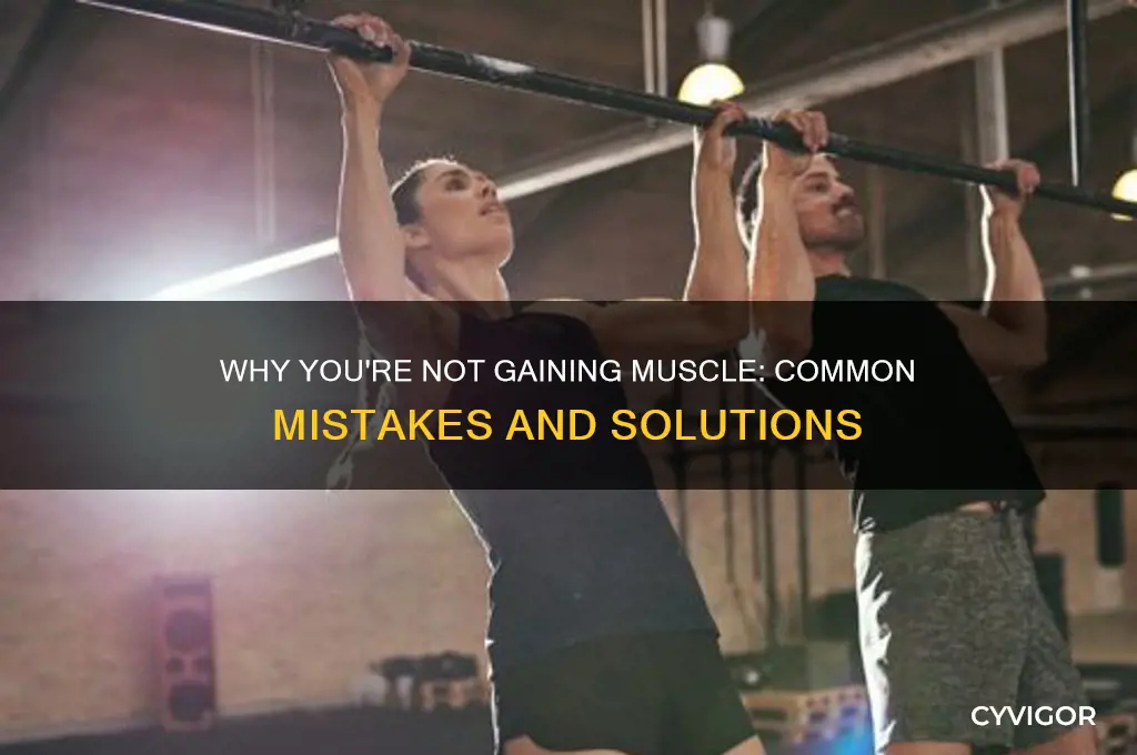 Why You're Not Gaining Muscle: Common Mistakes And Solutions | CyVigor