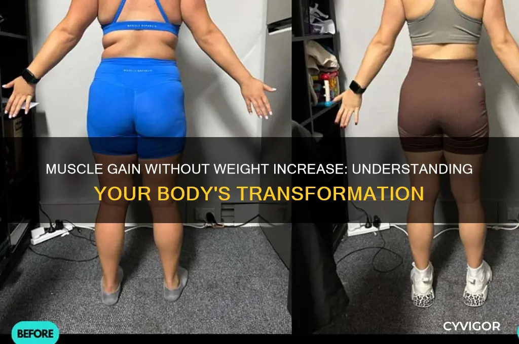 Muscle Gain Without Weight Increase: Understanding Your Body's ...