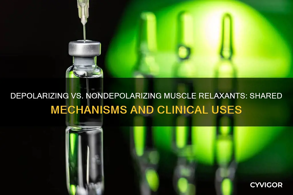 Depolarizing Vs. Nondepolarizing Muscle Relaxants: Shared Mechanisms ...