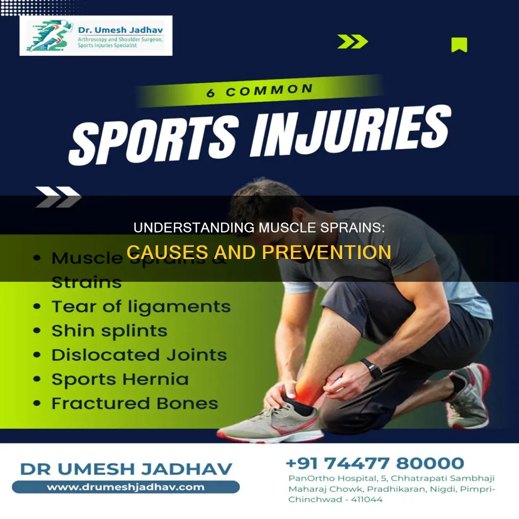 Understanding Muscle Sprains: Causes And Prevention | CyVigor
