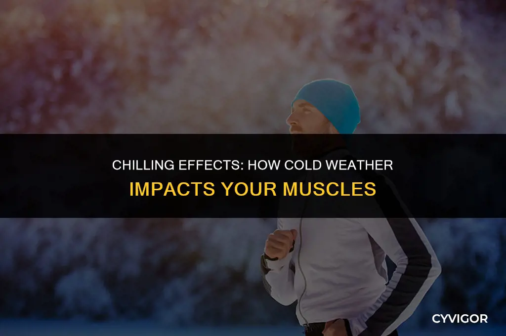 Chilling Effects: How Cold Weather Impacts Your Muscles | CyVigor