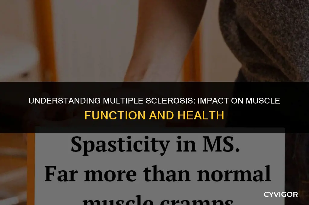 Understanding Multiple Sclerosis: Impact On Muscle Function And Health ...