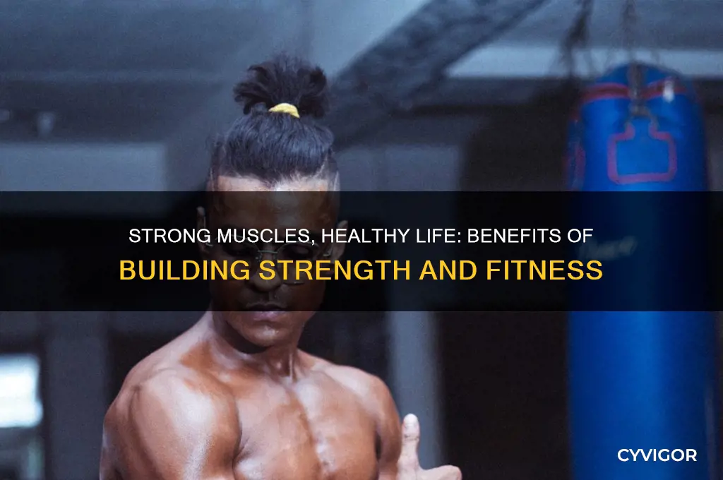 Strong Muscles, Healthy Life: Benefits Of Building Strength And Fitness ...