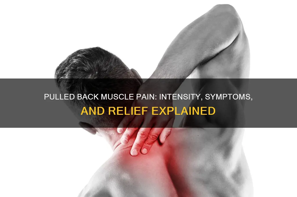 Pulled Back Muscle Pain: Intensity, Symptoms, And Relief Explained ...