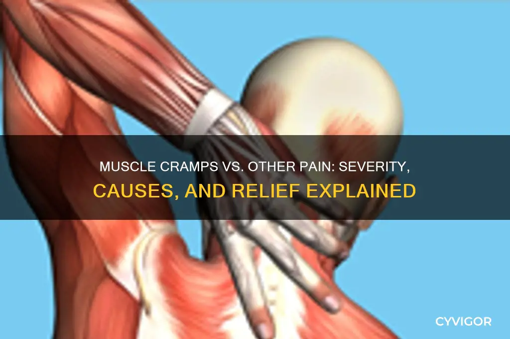 Muscle Cramps Vs. Other Pain: Severity, Causes, And Relief Explained ...