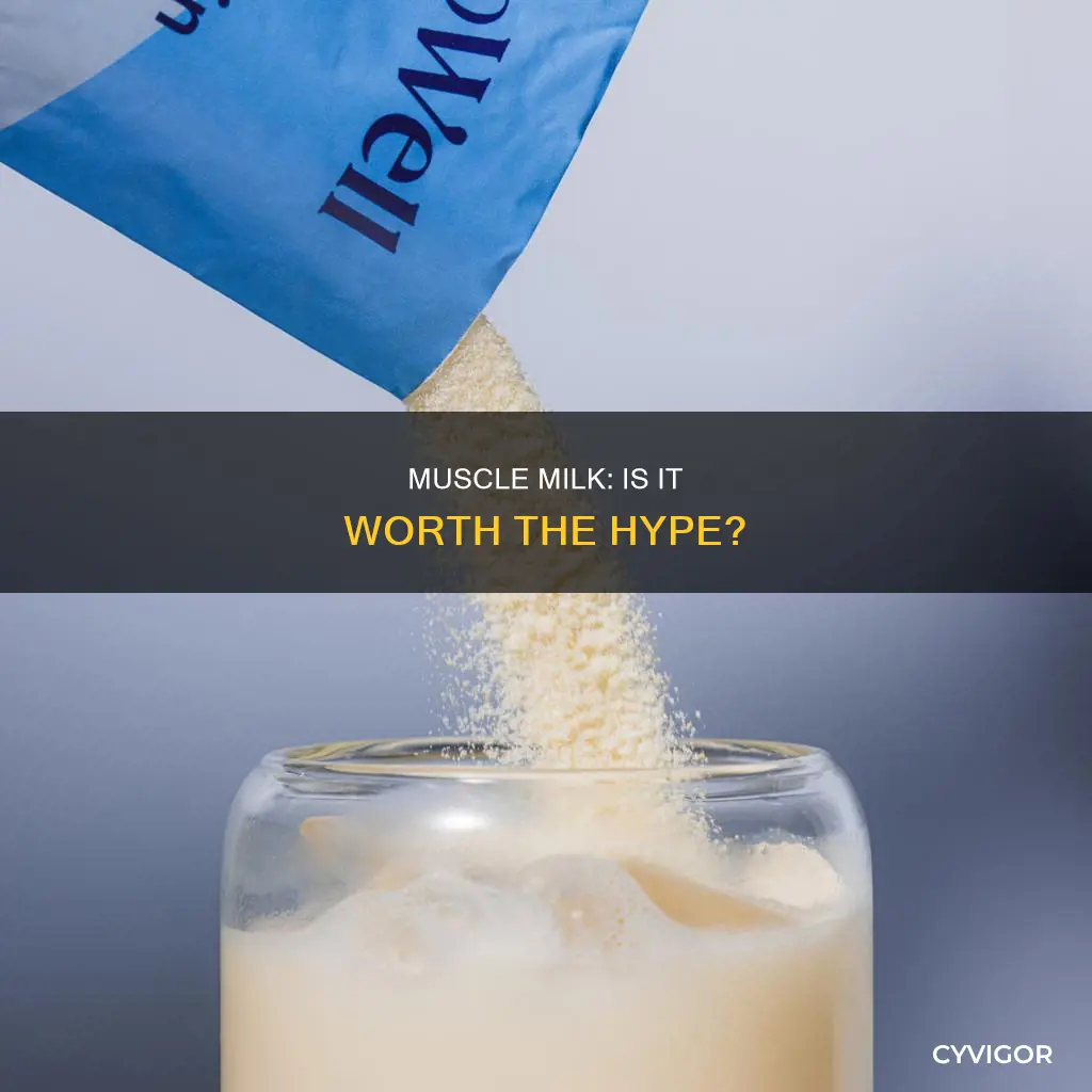 Muscle Milk: Is It Worth The Hype? | CyVigor