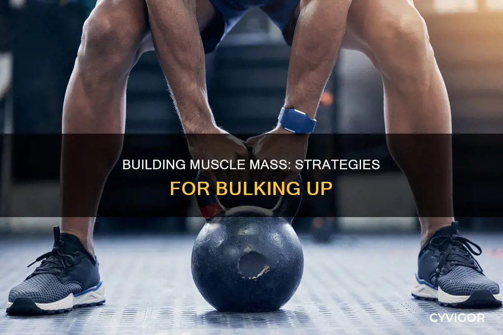 Building Muscle Mass: Strategies For Bulking Up | CyVigor