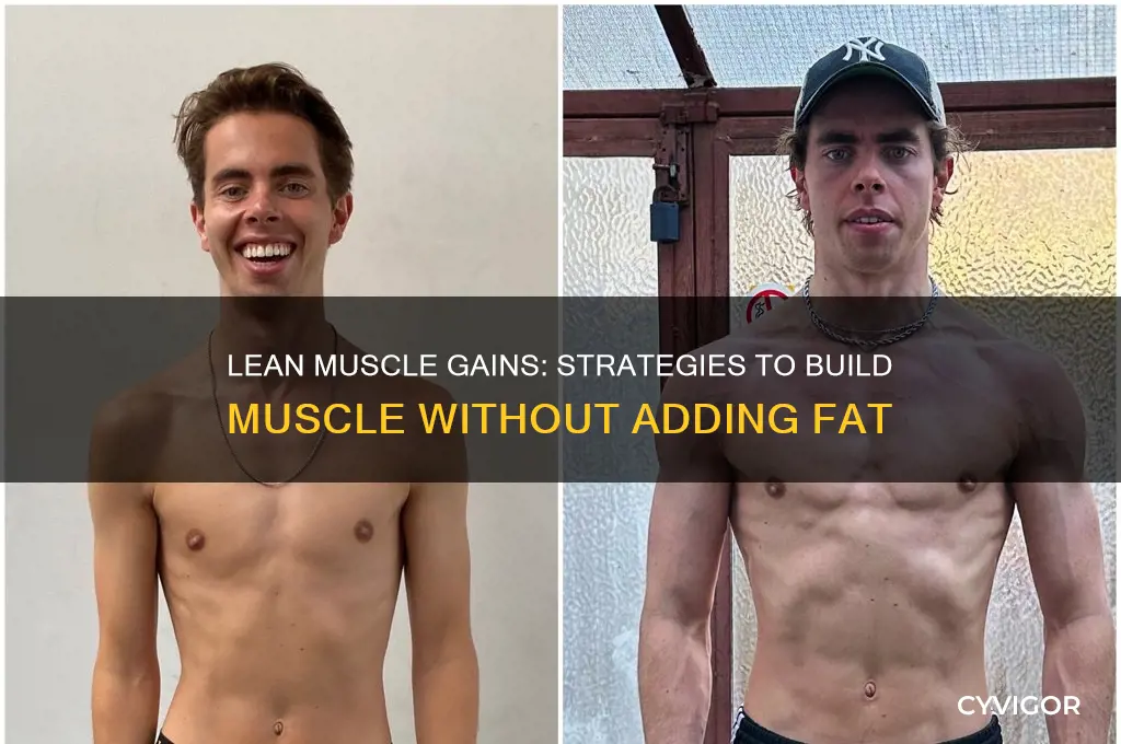 Lean Muscle Gains: Strategies To Build Muscle Without Adding Fat | CyVigor
